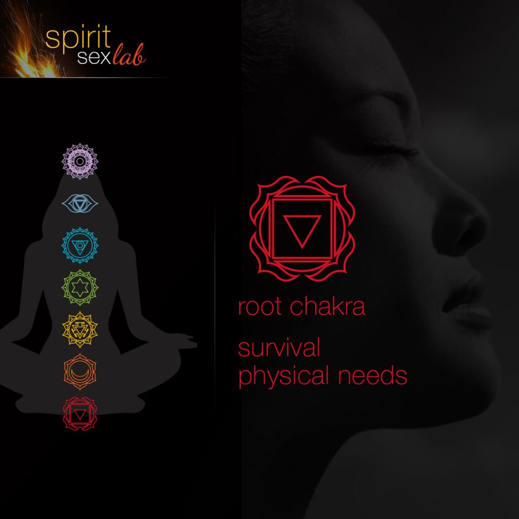 Human Energy Field: Root Chakra - spiritsexlab.com